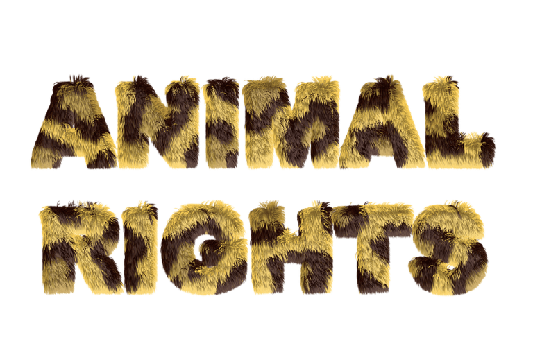 PETA, Activists File Lawsuit to Block Interactive Aquarium from Opening ...