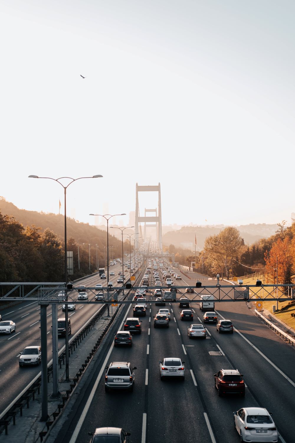 Daily Commuting Can Take a Toll on Mental Health - Zanien.com